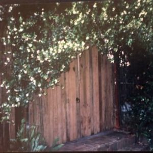 timber paling gate Brisbane – Ross Fencing Brisbane